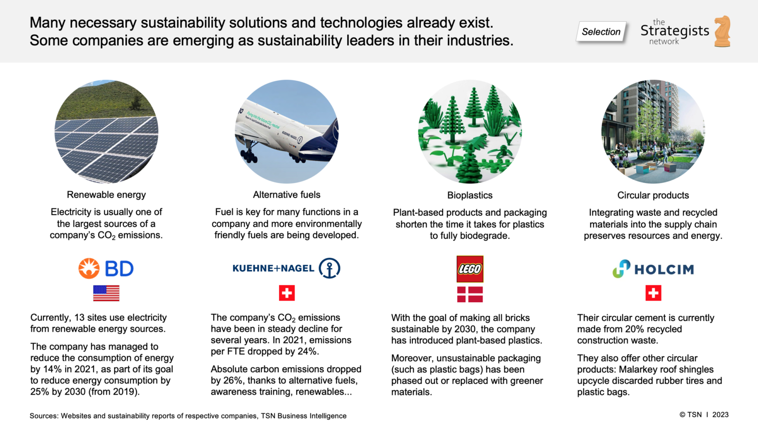 Sustainability Solutions and Leaders - the Strategists network